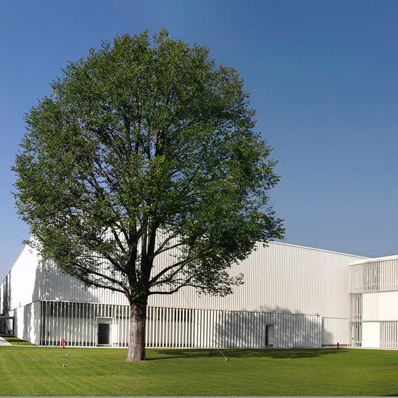 Corporate Info Archives | Flos JA